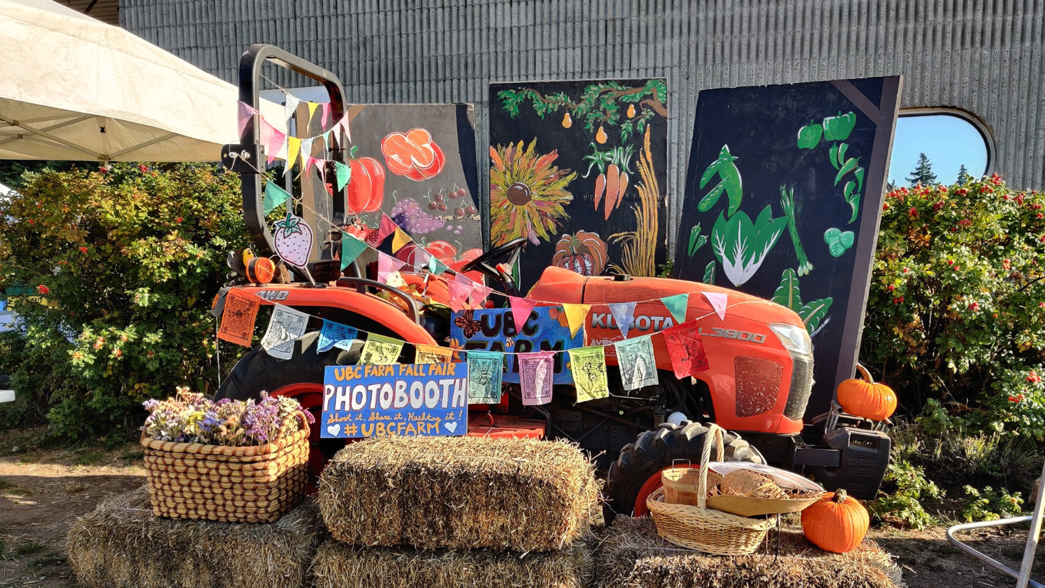 UBC Farm Fall Fair 2024 - Live At UBC